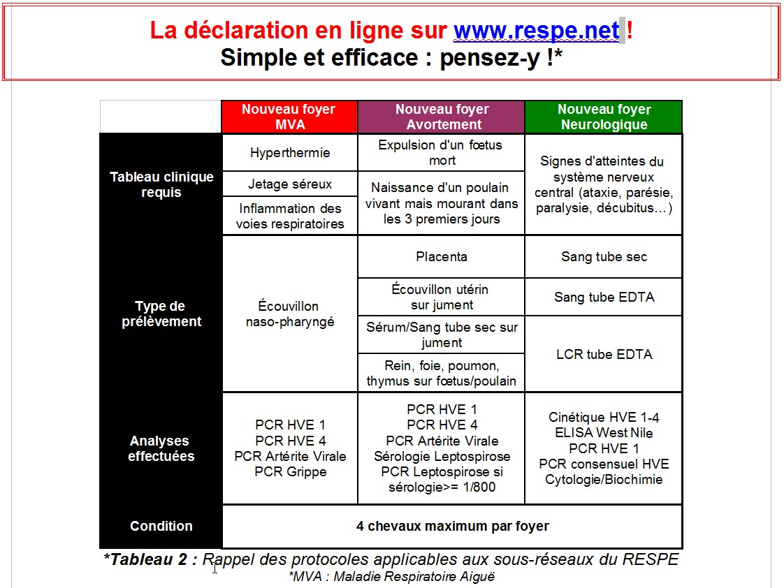 Le RESPE se met à la page... web - Bulletin n°29 - RESPE