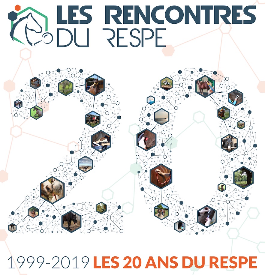 Retour sur les 20 ans du RESPE - RESPE