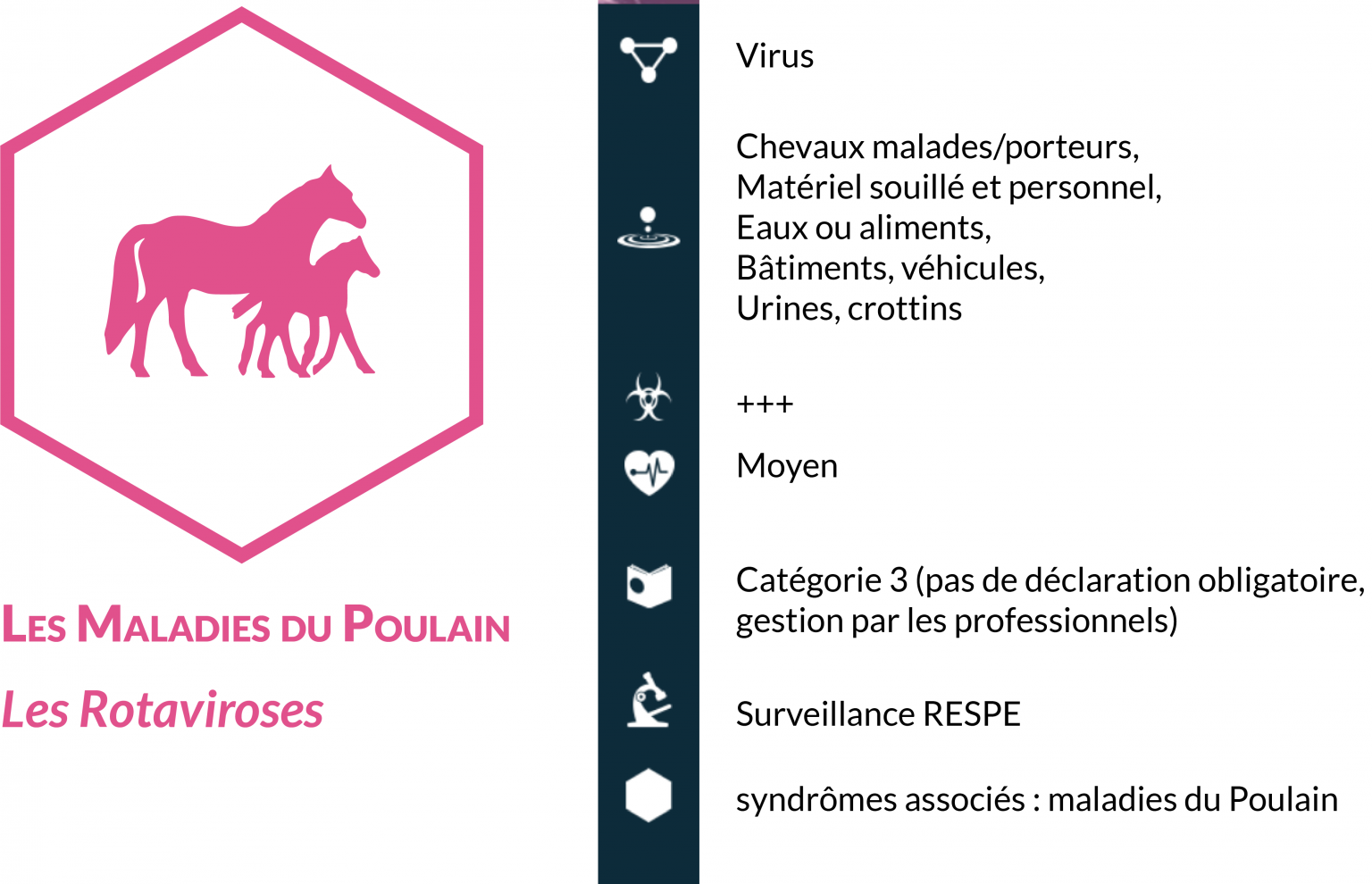 Rotavirus: des virus très contagieux et cause de diarrhées chez le ...