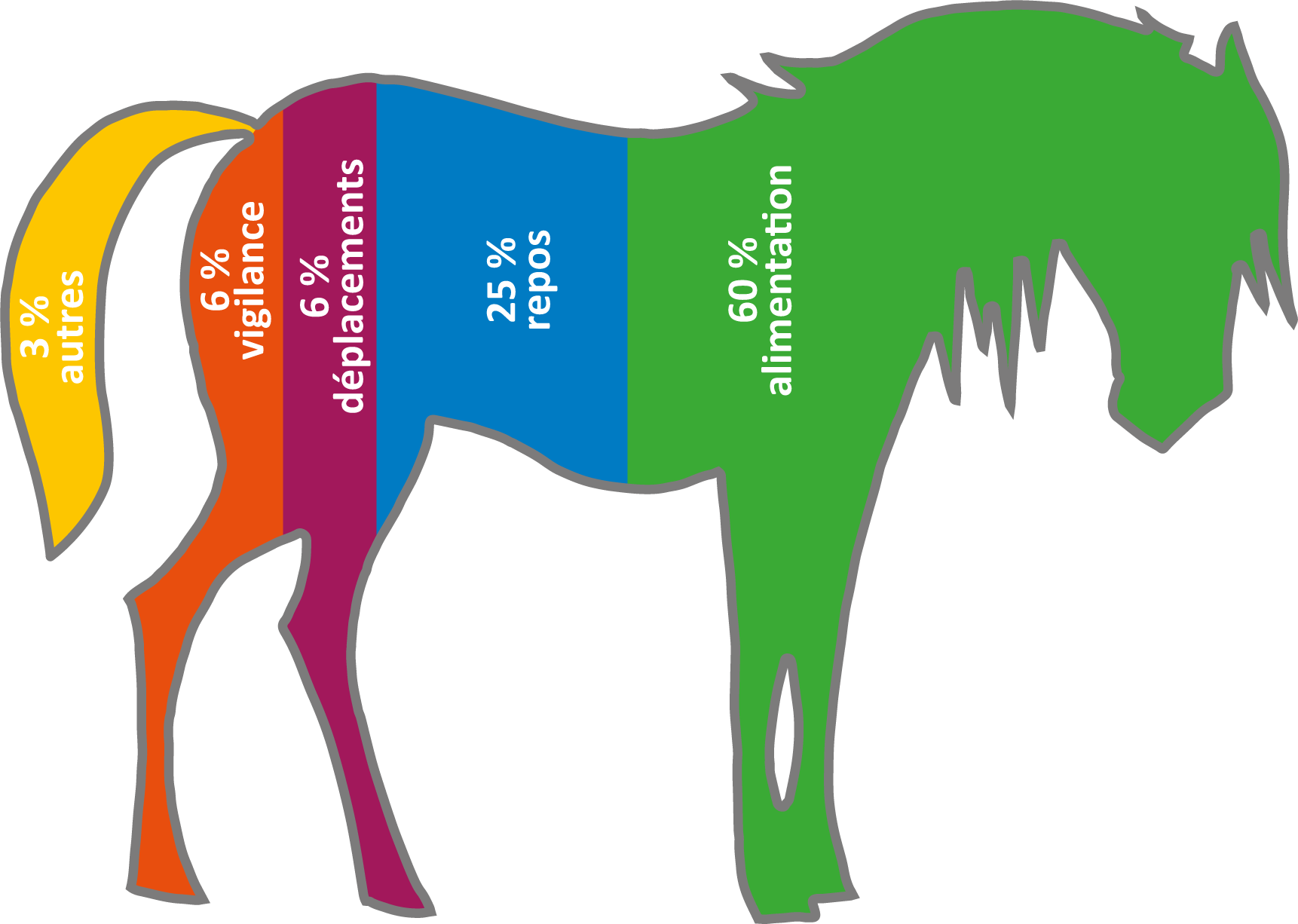 Budget temps du cheval : mieux le connaître pour mieux le respecter et ...