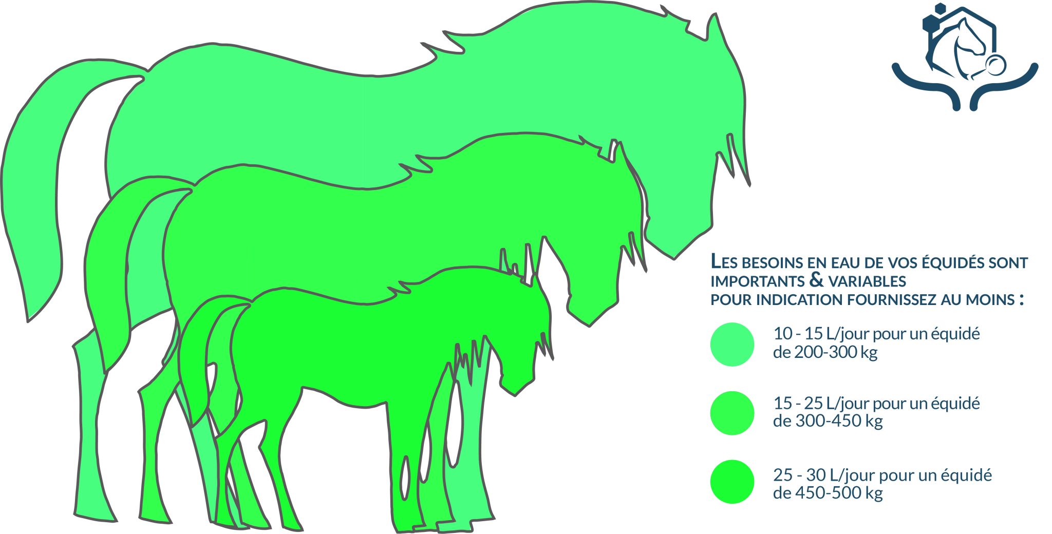 L’eau et l’abreuvement chez le cheval - RESPE