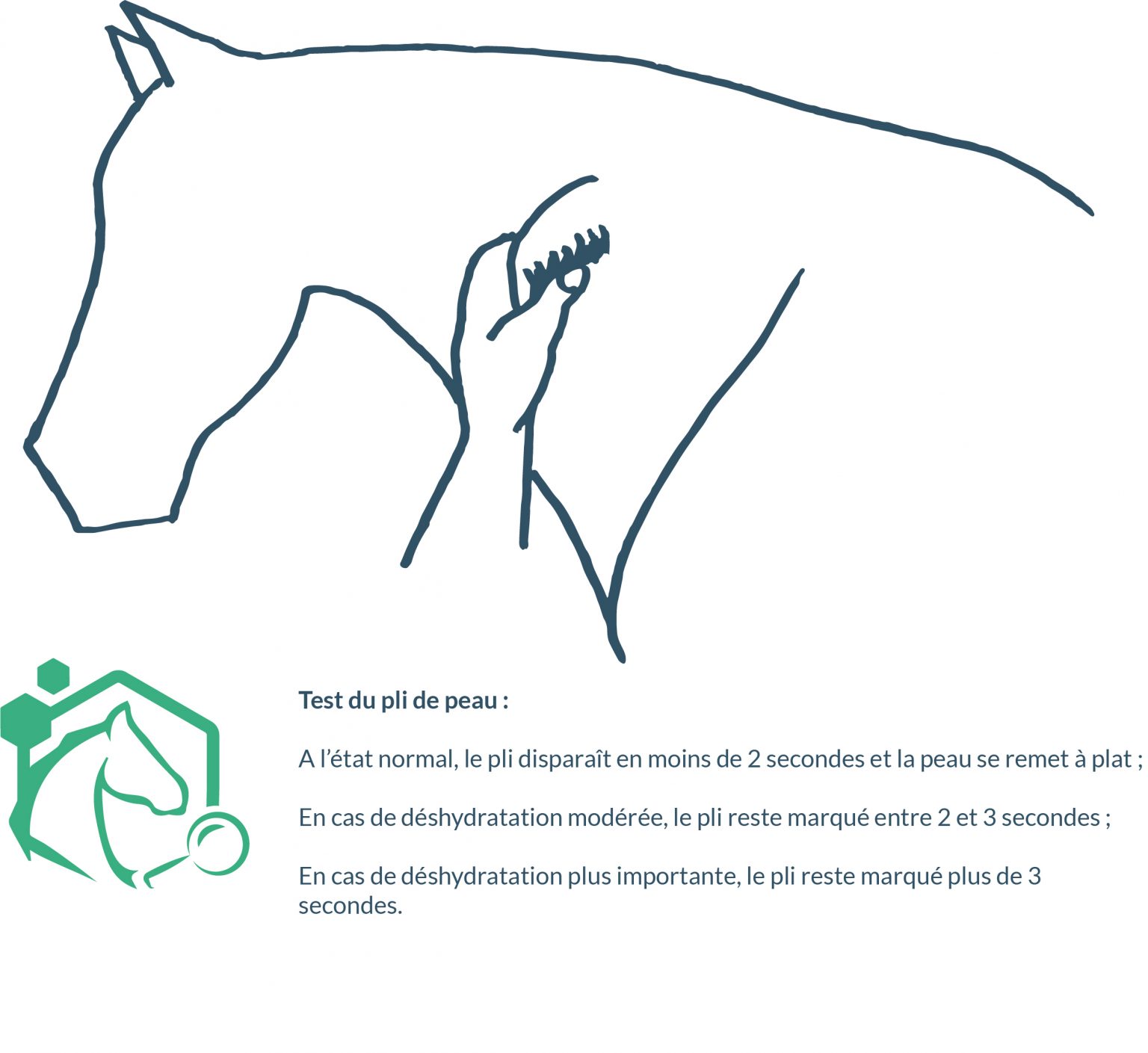 L’eau et l’abreuvement chez le cheval - RESPE