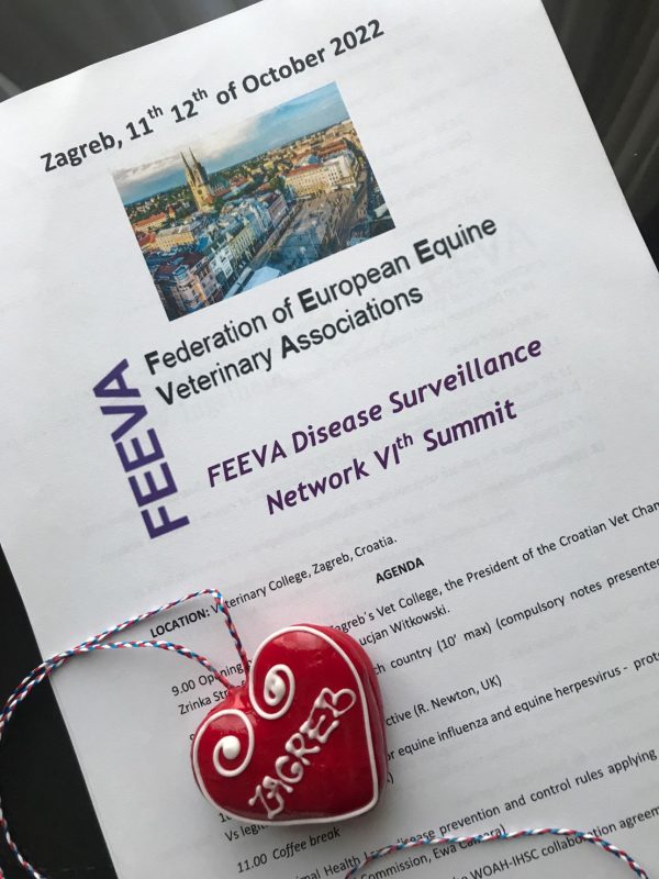 6ème édition de la FEEVA - RESPE