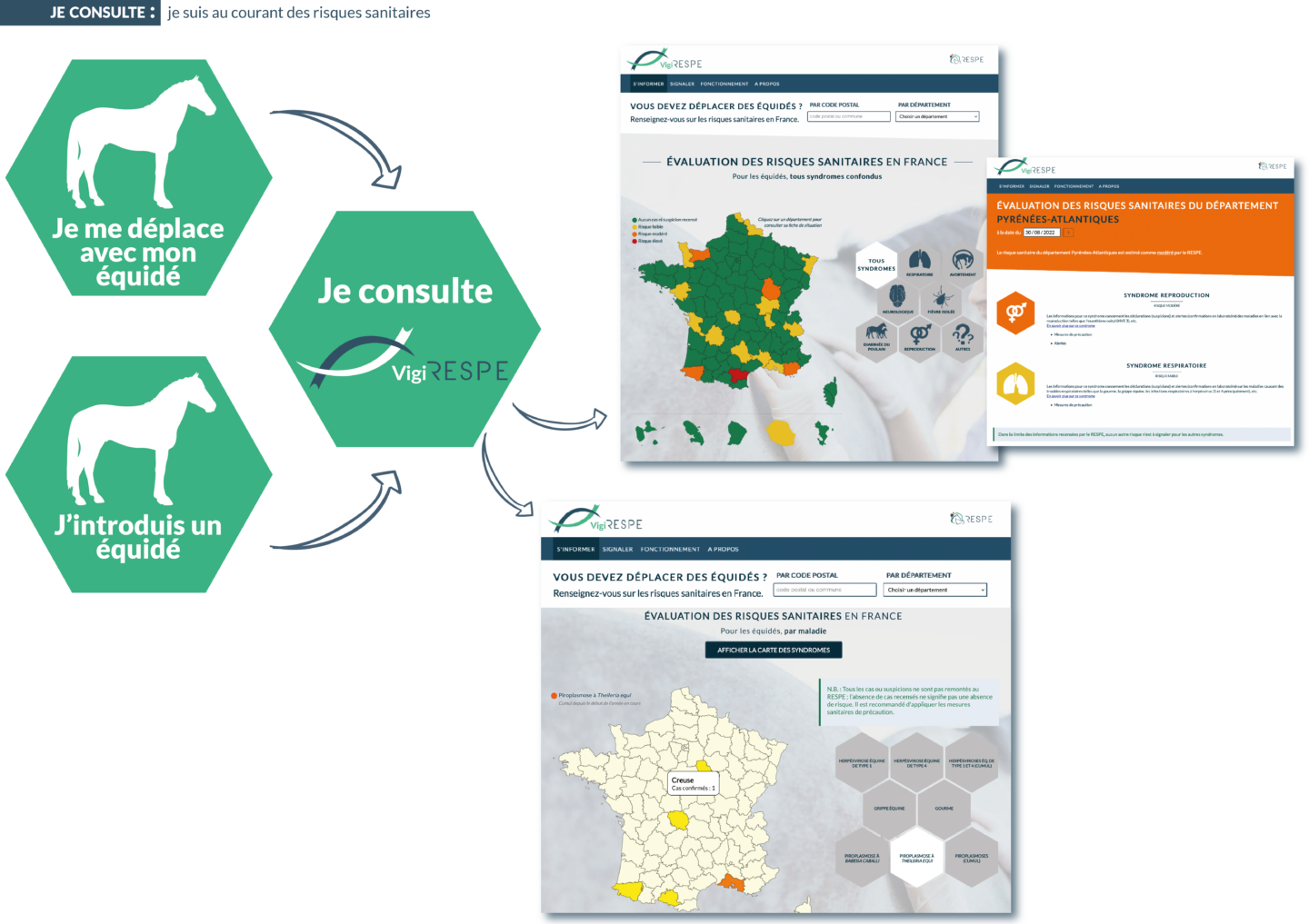 Avec VigiRespe, je déclare et protège mes équidés ! - RESPE