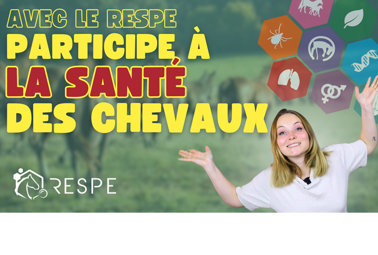 La vidéo du RESPE par Miliepattes ! - RESPE