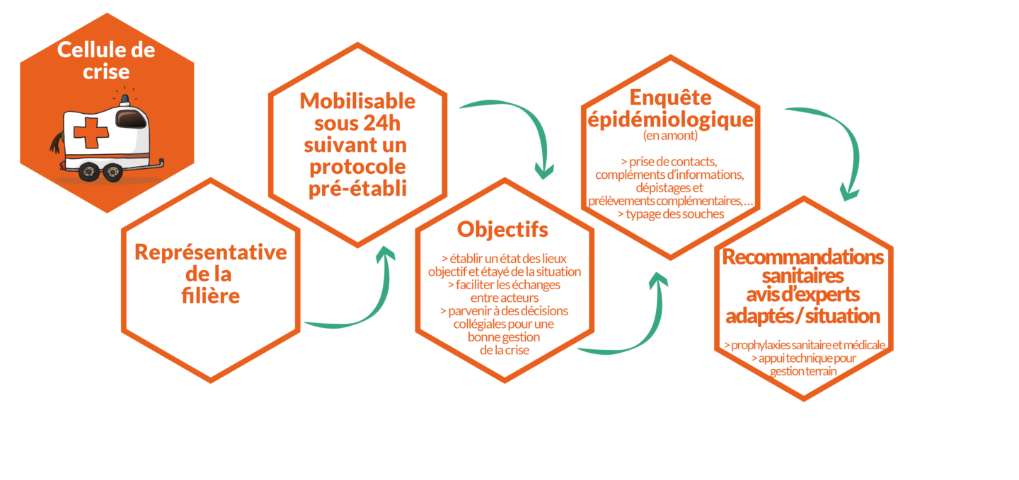 Connaissez-vous la cellule de crise du RESPE ? - RESPE