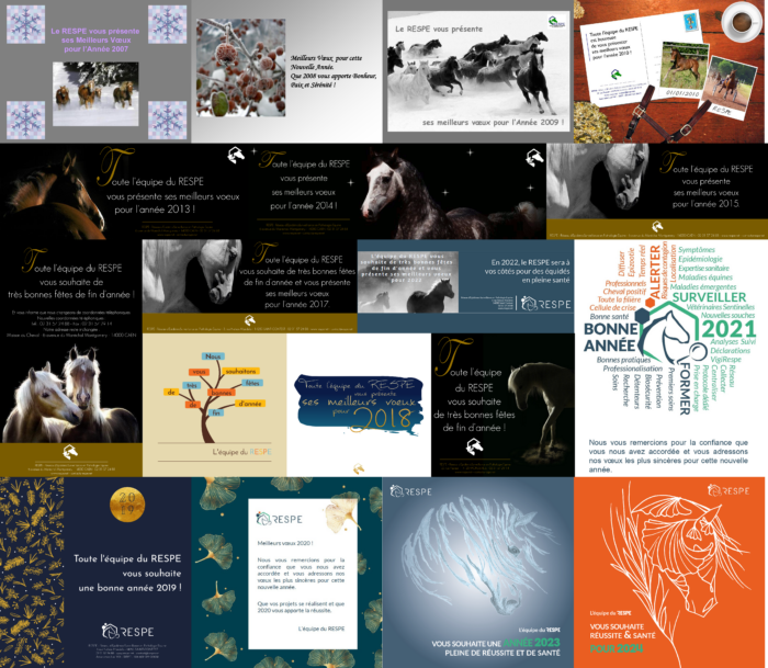 Les 25-RESPE n°5 : 25 cartes de vœux du RESPE - RESPE