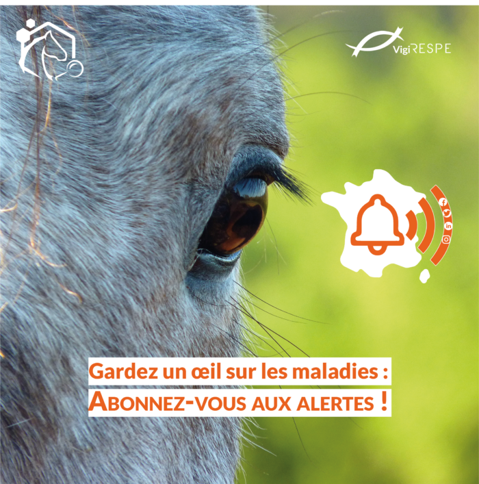 Abonnez-vous aux alertes du RESPE ! - RESPE