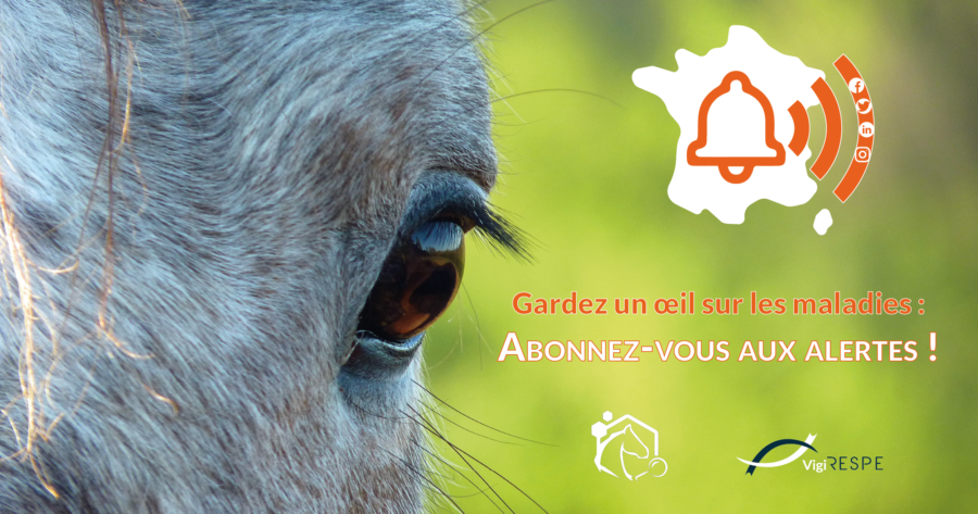 Abonnez-vous aux alertes du RESPE ! - RESPE