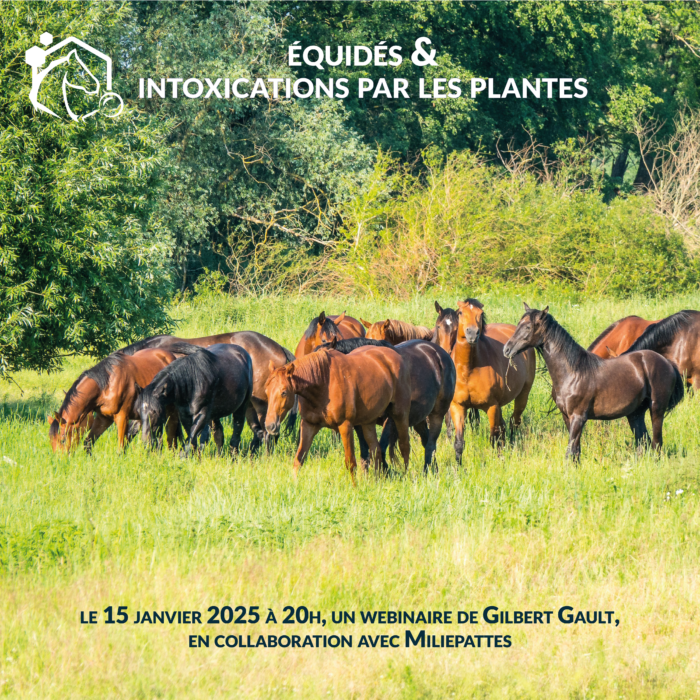 Le RESPE lance un partenariat avec Miliepattes ! - RESPE