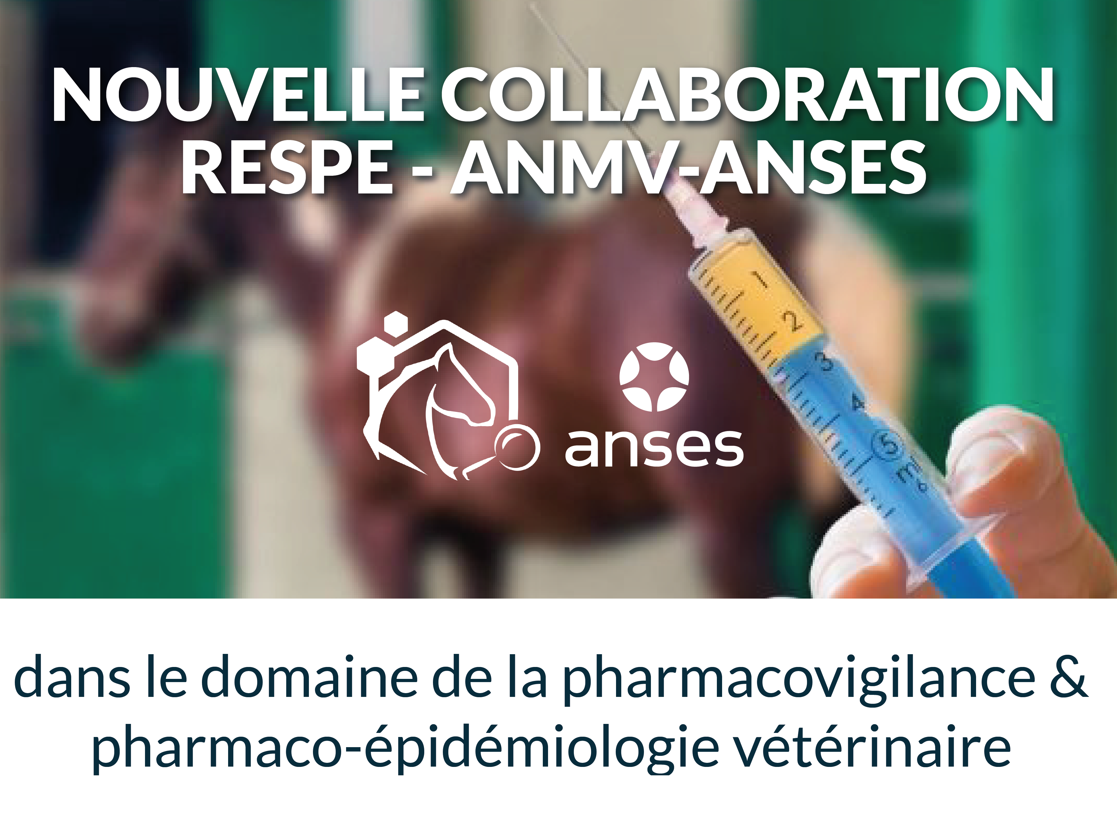 Le RESPE met en place une nouvelle collaboration avec l’ANMV-ANSES dans ...
