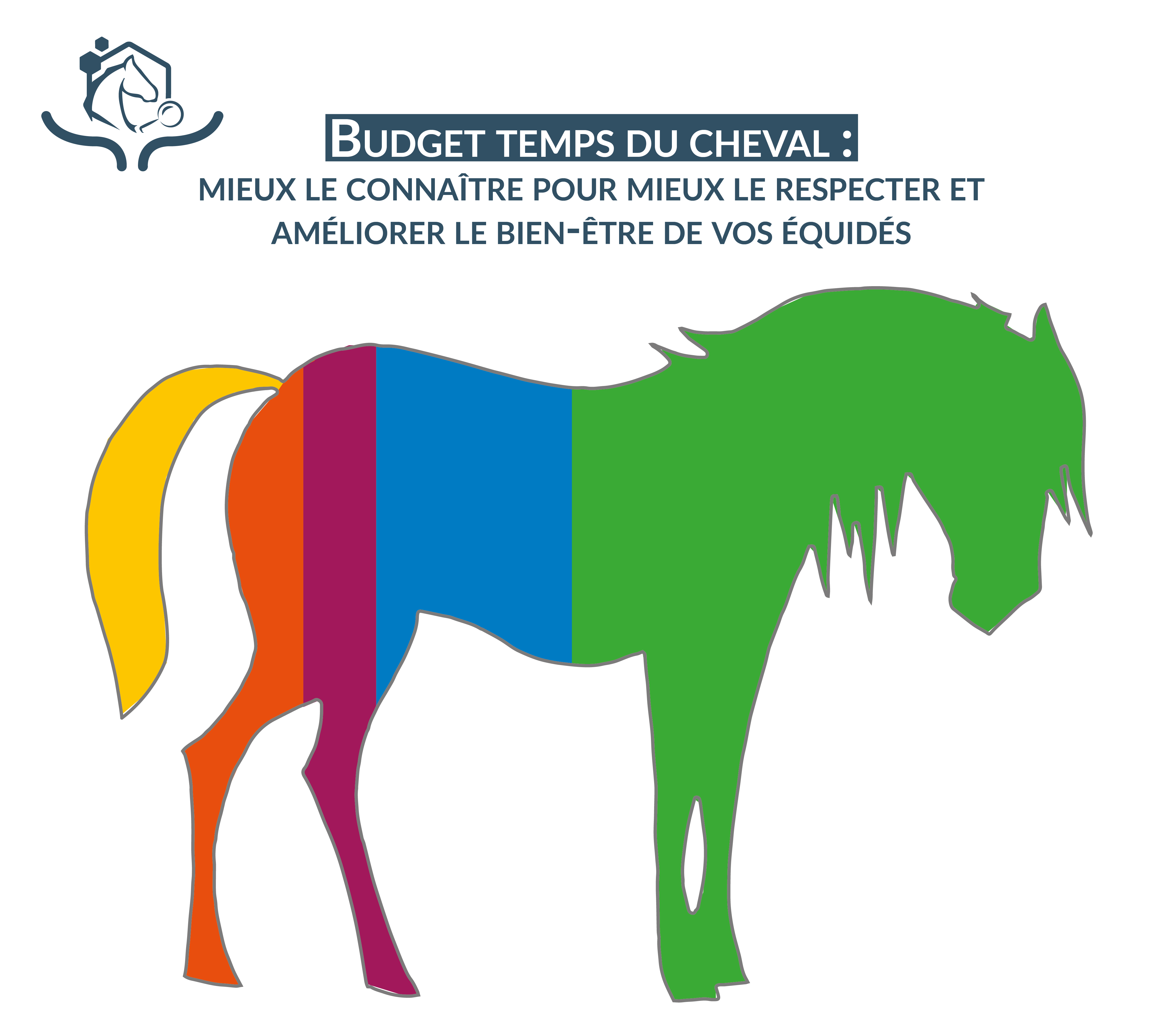 Qu’est-ce que le budget temps du cheval ? - RESPE