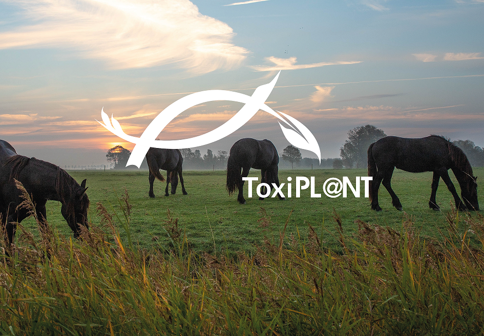 ToxiPL@NT, la nouvelle appli du RESPE pour limiter les risques d ...