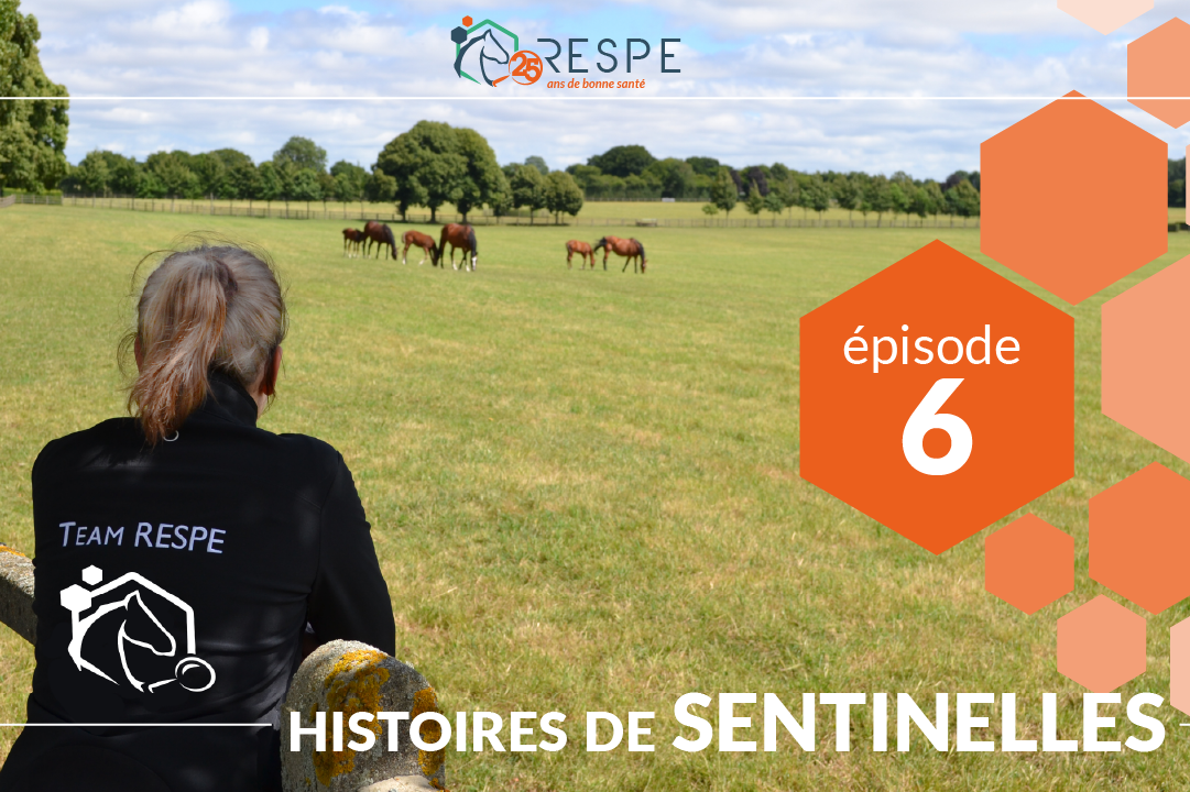 Les Histoires de Sentinelles du RESPE #6 - RESPE