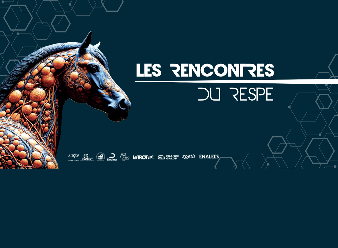 Les 8ᵉ Rencontres du RESPE : rendez-vous le 27 novembre 2025 à Saumur ...